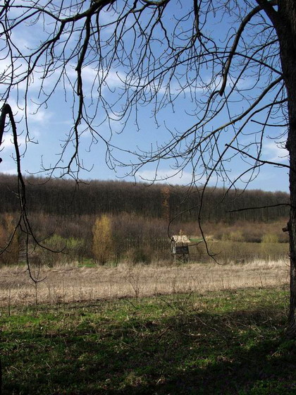 Canton Cetariu | Ferma, agricola, producator, agricol, depozitare, grau ...